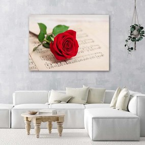 Gario Obraz na plátně Růže na notách Rozměry: 60 x 40 cm