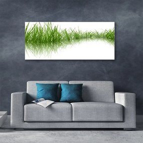 Plexisklo-obraz Tráva Příroda Rostlina 125x50 cm
