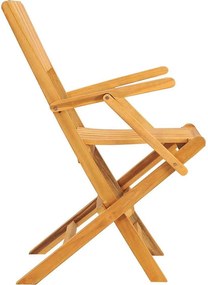 Skládací židle 6 ks 55x61x90 cm masivní teak 3155062