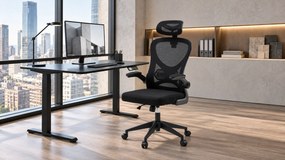 Ergonomická kancelářská židle ALEXANDRE - černá síťovina