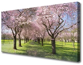 Obraz na plátně Stezka Stromy Příroda 125x50 cm