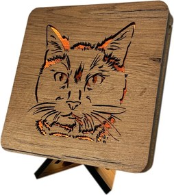 Li-Go "Kočka" lampa 19x19 cm provedení povrchu: bříza