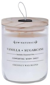 dw HOME Vonná svíčka ve skle Vanilla Sugar Cane 500 g, bílá barva, sklo, dřevo, vosk