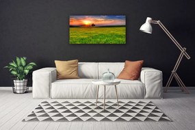 Obraz na plátně Louka Slunce Příroda 140x70 cm