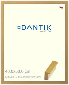 DANTIK rámeček 40x50 | KASSETTE přírodní lakovaná (Sklo Čiré)