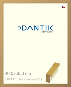 DANTIK rámeček 40x50 | KASSETTE přírodní lakovaná (Sklo Čiré)