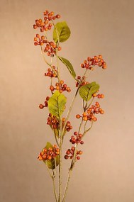 Paramit DRY DEWBERRY Aranžovací květina oranžová 78 cm