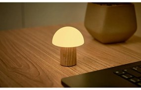 LED stmívatelná stolní lampa z jasanového dřeva v přírodní barvě (výška 7 cm) Alice – Gingko