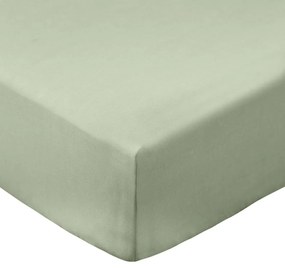 Zelené napínací prostěradlo z bavlněného perkálu 90x190 cm Cotton Percale – Bianca