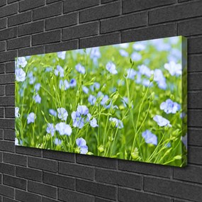 Obraz na plátně Květiny Tráva Rostlina Příroda 140x70 cm