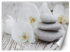 Fototapeta, Květiny Zenové kameny - 450x315 cm