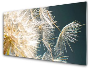 akrylový obraz Pampeliška Rostlina 100x50 cm