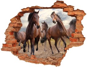 Wallmuralia Díra 3D fototapeta na stěnu Pět koní 90x70 cm