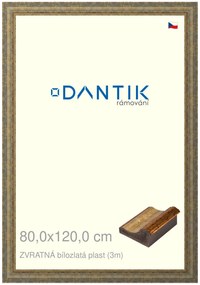 DANTIK rámeček 80x120 | ZVRATNÁ bílozlatá plast (Plexi Čiré)