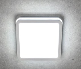 Sapho, BENO stropní LED svítilna 260x55x260mm, 24W, bílá, 33342