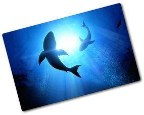 Wallmuralia Kuchyňská deska skleněná Dva žraloci 80x52 cm