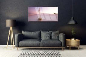 Obraz na skle Poušť Písek Krajina 140x70 cm