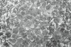 DIMEX | Samolepicí vliesová fototapeta na zeď Abstrakt květy jabloně III. MA-5-0356 | 375 x 250 cm | šedá