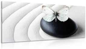 Obraz Zen kámen s motýlem Varianta: 120x60