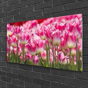 Obraz na skle Tulipány Květiny Příroda 120x60 cm