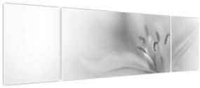 Obraz - Jemná lilie (170x50 cm)