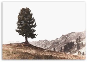 Gario Obraz na plátně Strom na kopci Rozměry: 60 x 40 cm