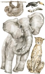 Safari - Slon, gepard, lenochod