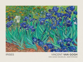 Obrazová reprodukce Irises (Museum Vintage Floral / Flower Landscape) - Vincent van Gogh, (40 x 30 cm)