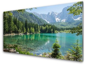 Obraz na skle Hory Jezero Les Příroda 120x60 cm