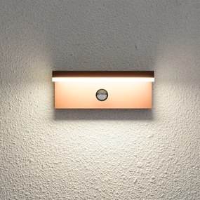 Brilagi-LED Venkovní nástěnné svítidlo se senzorem TESSI LED/10W/230V hnědá IP54