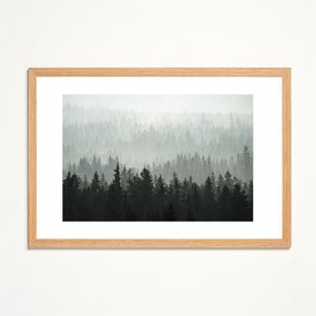 Kristýna Mládková | Šumavské lesy Rám: Černý, Velikost: 30 x 40 cm