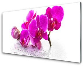 Obraz na skle Květiny Rostlina Příroda 100x50cm