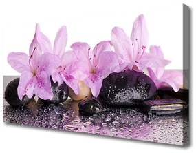 Obraz na plátně Květiny Kameny Zen Lázně 125x50 cm