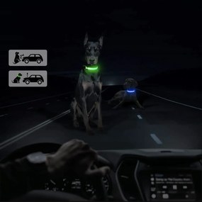 Zelený LED obojek pro psa/kočku DUKE - různé velikosti Velikost: M