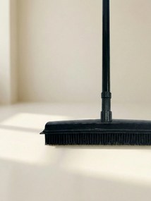 Sinsay - Čisticí kartáč s teleskopickou rukojetí - černá