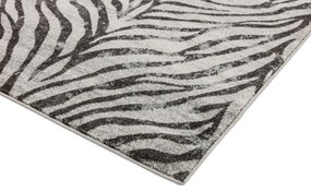 Šedý  koberec Dinamo Zebra Grey Rozměry: 160x230 cm