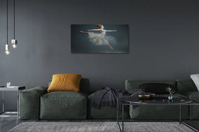 Obrazy na plátně balerína kouř 100x50 cm