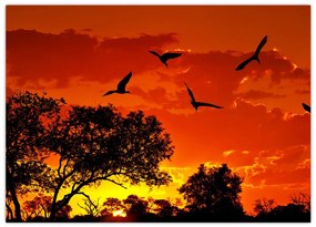 Skleněný obraz ptáků při západu slunce (70x50 cm)