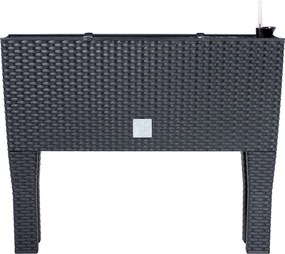 Prosperplast Truhlík na květiny »Rato Case High«, s vložkou na zavlažování, v ratanovém vzhledu. (antracitová, Š 80 x V 62 x H 33 cm)