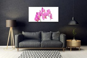 Plexisklo-obraz Orchidej Květiny Příroda 100x50 cm