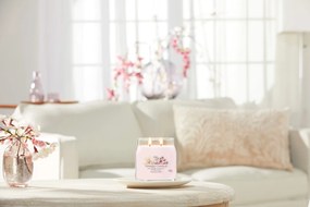 Yankee Candle – Signature svíčka Pink Cherry & Vanilla (Růžové třešně a vanilka) Velikost: střední 368 g