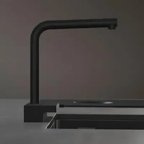 Hansgrohe - Dřezová baterie Aquno Select 250 s výsuvnou koncovkou a pl