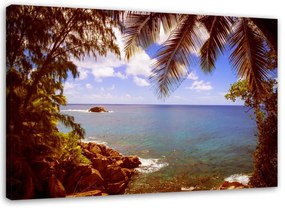 Obraz na plátně Palmy Skalnatá pláž - 120x80 cm