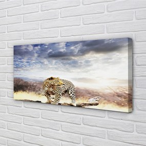 Obrazy na plátně panter mraky 140x70 cm