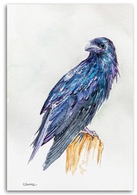 Gario Obraz na plátně Bluebird - Dorota Martyńska Rozměry: 40 x 60 cm