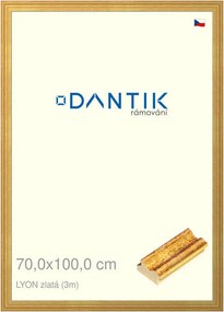 DANTIK rámeček 70x100 | LYON zlatá (Plexi Čiré)