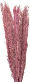Dekorace růžová sušená květina - 100 cm (15ks)