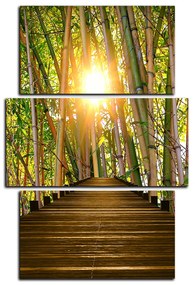 Obraz na plátně - Dřevěná promenáda v bambusovém lese - obdélník 7172C (90x60 cm)