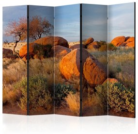 Paraván - African landscape, Namibia II [Room Dividers]