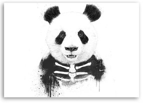 Gario Obraz na plátně Kostra medvěda pandy - Rykker Rozměry: 60 x 40 cm